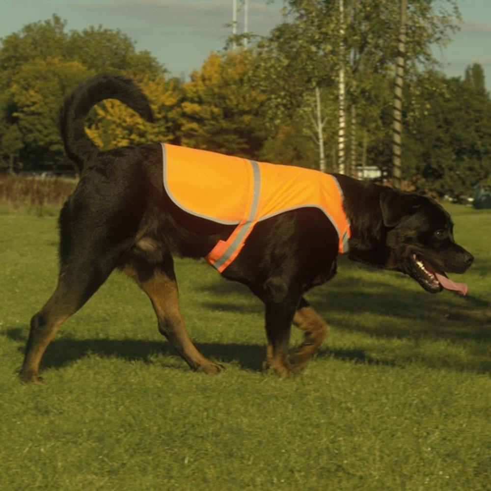High Visibility Dog Vest - redoakdirect.com